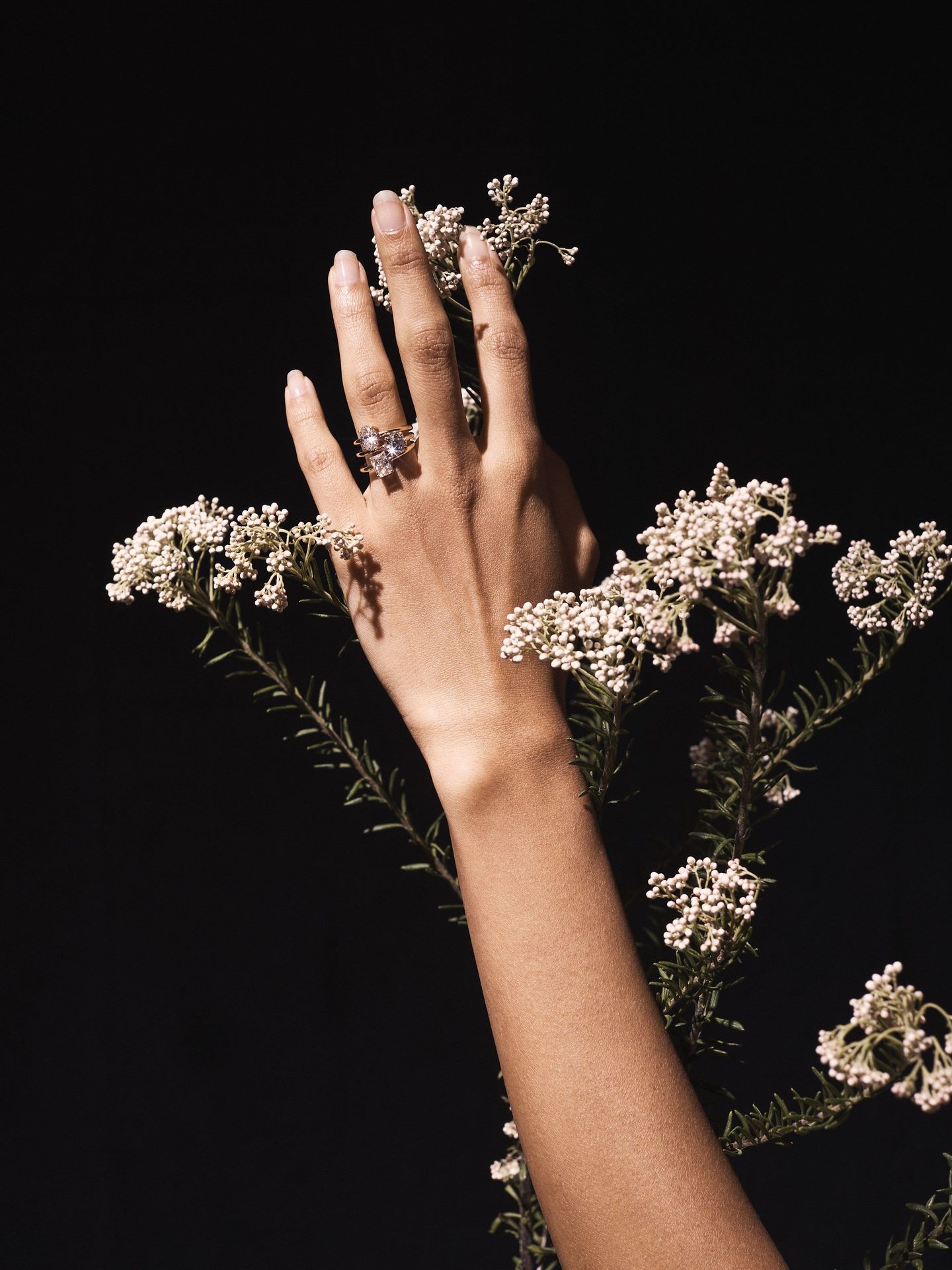 After Winter | Meadowlark by Tim Ashton & Teneille Sorgiovanni